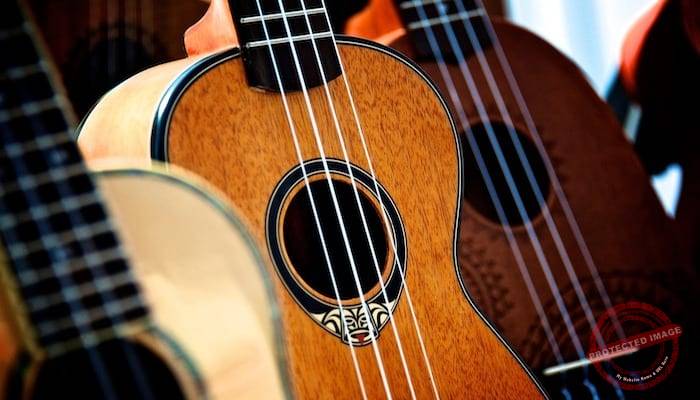 9 Best Phenomenal Ukulele Players You Need To Know - Ukulele World