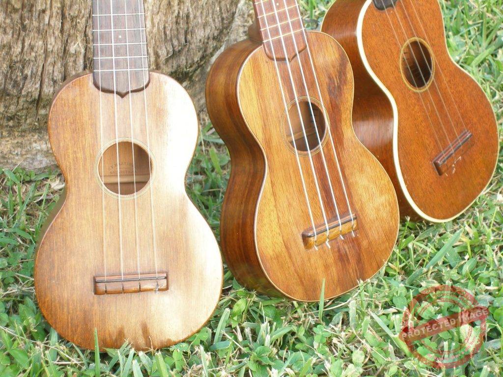Ukulele Wood Comparison – Different Ukulele Wood Types - Ukulele World