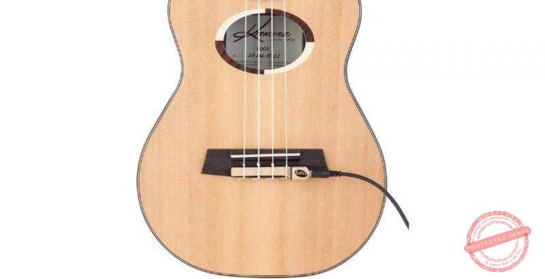 9 Best Ukulele Pickups 2024 - Electrify Your Ukulele - Ukulele World