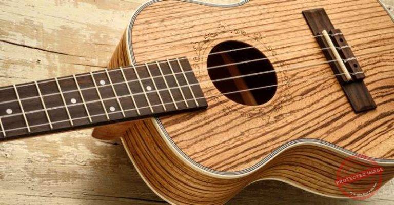 Where Was the Ukulele Invented? & Other Ukulele Facts - Ukulele World