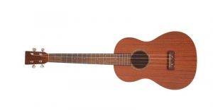 13 Types Of Ukulele & What Makes Each Special - Ukulele World