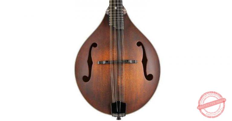 10 Best Mandolins 2025 - Ukulele World