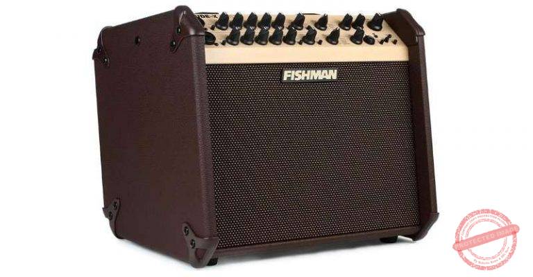 6 Best Ukulele Amplifiers 2025 - Ukulele World