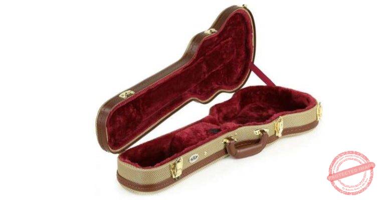 12 Best Ukulele Cases 2025 - Ukulele World