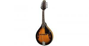 10 Best Mandolins 2025 - Ukulele World