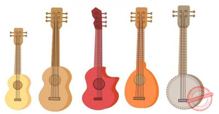 13 Types Of Ukulele & What Makes Each Special - Ukulele World